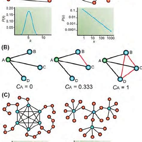 Measures Of A Network Structure A A Random Network Left And A Download Scientific Diagram