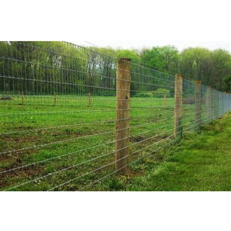 Galvanized Iron Welded Wire Fencing For Garden At Rs Kg In Kangra