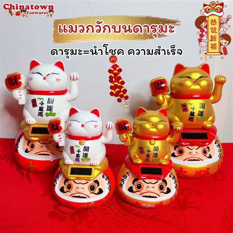 แมวกวักนั่งบนดารุมะ 4นิ้ว 6นิ้ว แมวนำโชค แมวสไตล์ญี่ปุ่น กวักโชคลาภเงินทอง เรียกลูกค้า ของ