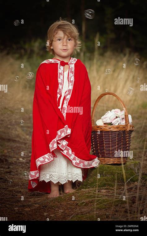Le Loup Dans Le Petit Chaperon Rouge Banque De Photographies Et D