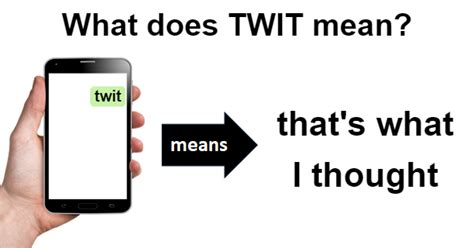 Twit What Does Twit Mean