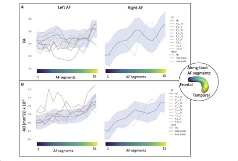 Along Tract Diffusion Tensor Imaging Dti Measures A Fractional