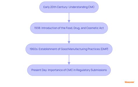 What Is CMC Understanding Its Role In Regulatory Affairs