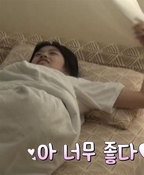 Blip 댕신난 안댕댕 모음