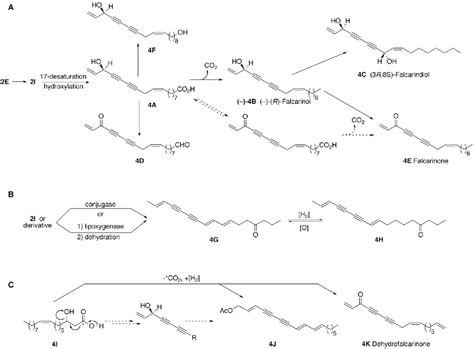Figure 1 From Biosynthesis And Function Of Polyacetylenes And Allied