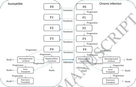 Model Schematics Of Hcv Progression With Disease States Download