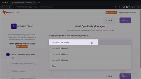 在 Ubuntu 上安裝 Openresty Xray 的 Agent（使用 Apt 包仓库） Openresty 官方博客