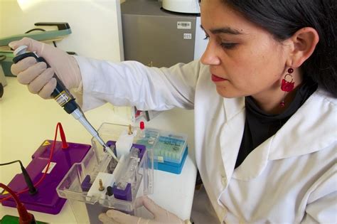 Académicos se adjudican numerosos proyectos de investigación Noticias