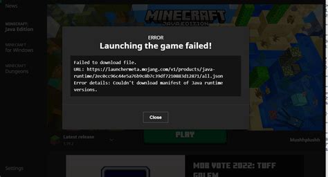 Java Runtime Error Rminecraft