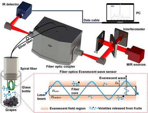 Frontiers In Situ Detection Of Fruit Spoilage Based On Volatile Compounds Using The Mid