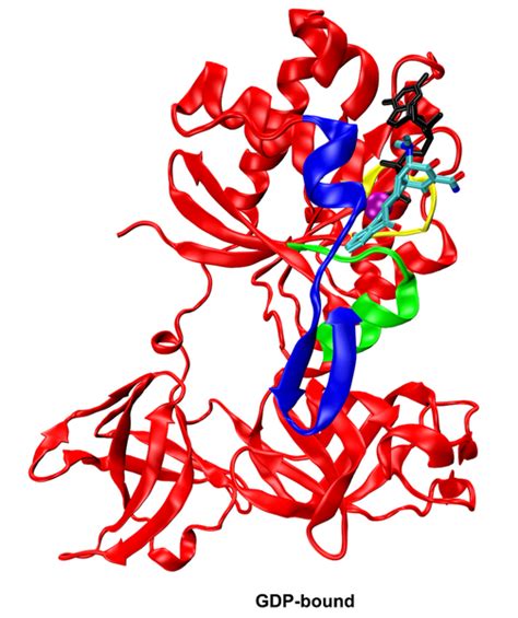 Gtp Hydrolysis Plos One