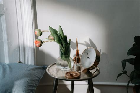 가구 거주 공간 고요한 꽃 장식 꽃꽂이 꽃병 낮 따뜻한 음색 미니멀리스트 방 부드러운 빛 빛과 그림자