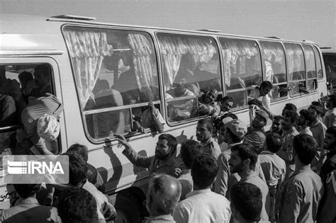 خبرآنلاین تصاویر بازگشت پرستوها؛ تصاویری منتشر نشده از ورود آزادگان