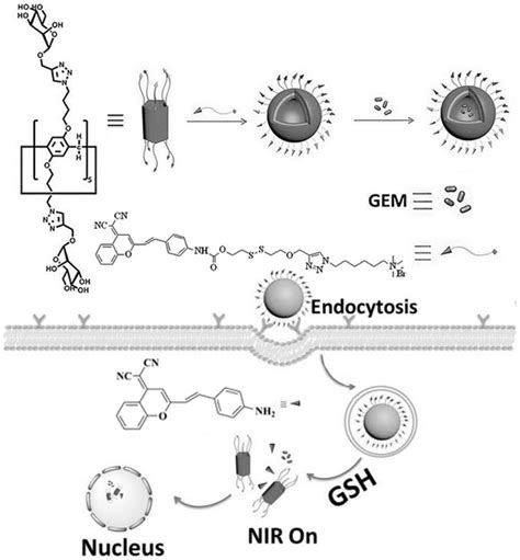 Targeted And Fluorescence Tracing Stimulation Responsive Multifunctional Nano Vesicle Drug