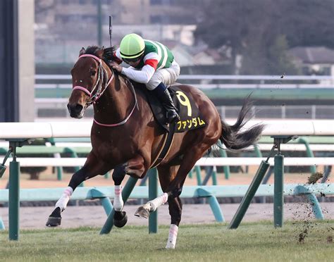祖母が同じ馬のワンツーフィニッシュ！勝ち馬ファンダム北村宏騎手「余力があった」／ジュニアc 3歳馬特集 競馬写真ニュース 日刊スポーツ