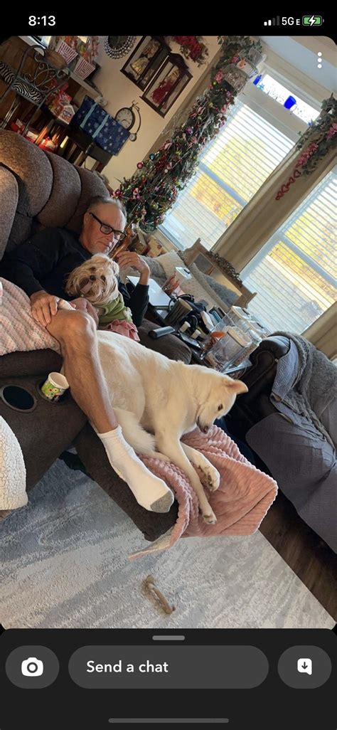 Boo And Jem Together R Yorkies