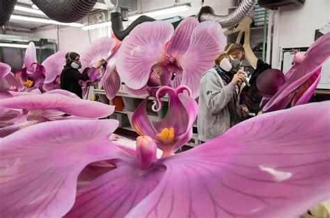 The Bug Lab Gallery Wētā Workshop