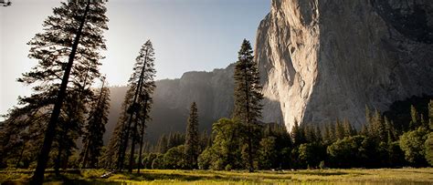 Interoperability In Reporting Rules