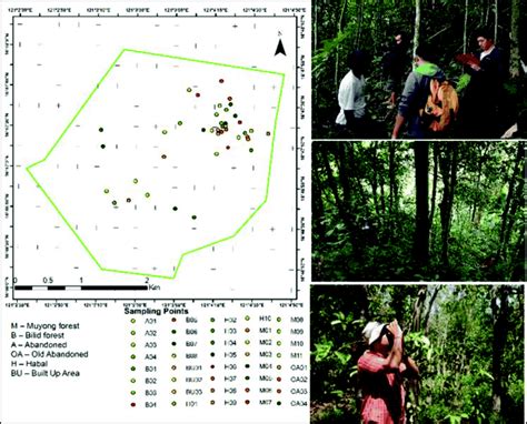 Field Data Collection And Location Of Sampling Plots Download Scientific Diagram