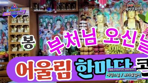 세정스님 보랏빛엽서 원곡 설운도 2023527일 부처님오신날 제1회 김병걸선생님과 함께한 어울림한마당콘서트 Youtube