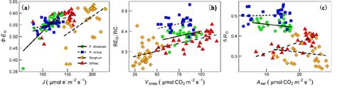 Linear Regressions Between Photosynthetic Traits Reported In Zhu Et Al Download Scientific