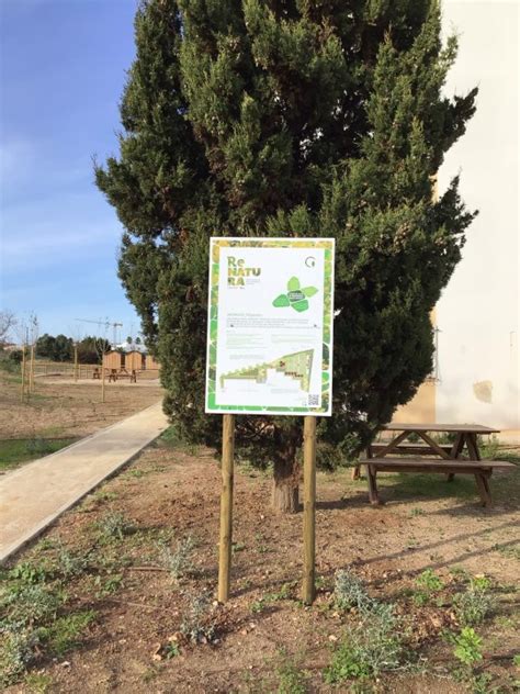 Climate Resilient Urban Green Spaces