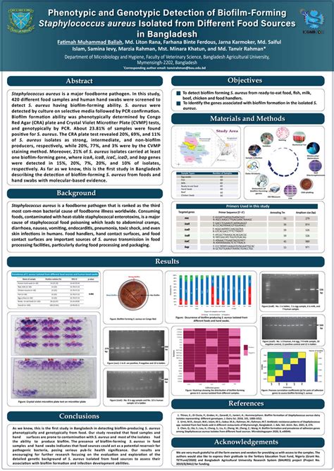Pdf Phenotypic And Genotypic Detection Of Biofilm Forming Staphylococcus Aureus From Different