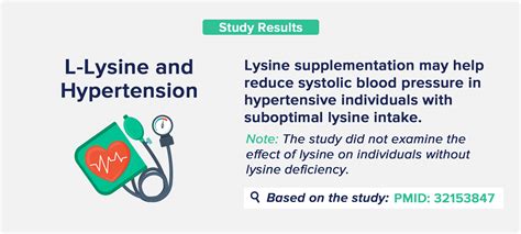 L Lysine Benefits From Anxiety To Muscle Growth The Nutrition Insider