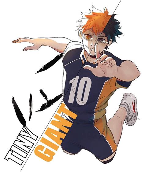 Haikyuu Karasuno Little Giant