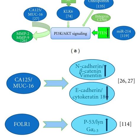 Pdf Early Detection Biomarkers For Ovarian Cancer