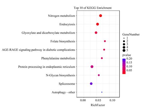 项目文章 首次发现太平洋亚历山大藻（甲藻）快速生长中h3k4me3修饰 知乎
