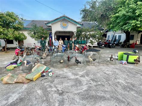 អភិបាលស្រុកសាលាក្រៅដឹកនាំកម្លាំងនគរបាលស្រុកចុះបង្ក្រាបអ្នកលេងល្បែងបញ្ជល់មាន់ឃាត់ខ្លួនមនុស្ស៤នាក់