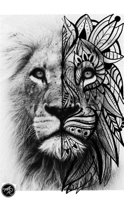Casal De Le Es Desenho Eles S O Considerados Os Reis Da Selva