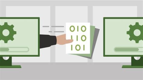 Learning The Packet Delivery Process APEX The College Of Wooster