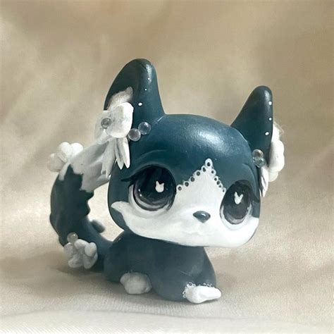 Lychee On Instagram ･･ﾟ ･ﾟ ʚ 12 ɞ ･･ﾟ ･ﾟ Chinchilla~ I Love