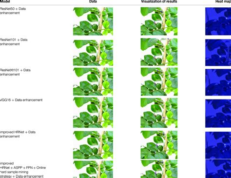 Visualization Results Of Different Models Download Scientific Diagram