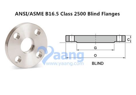 Ansiasme B165 Class 2500 Blind Flanges Yaang