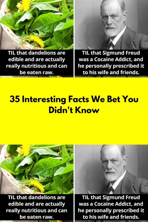 35 Interesting Facts We Bet You Didnt Know Fun Facts Facts Funny