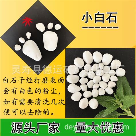 现货供应白卵石多肉铺面白石子白色砾石日式枯山水造景白石米 阿里巴巴