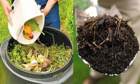 Cómo hacer Compost en casa guía para principiantes Eco Jardín Mágico