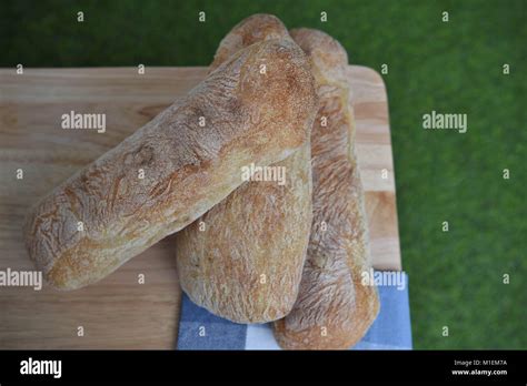 Rustic Food Image Of Homemade Artisan Ciabatta White Bread Loaves On Wooden Board With Green