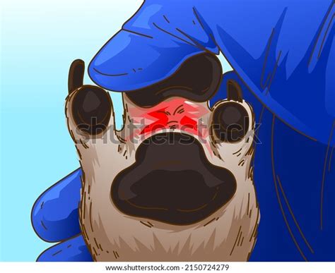 How To Treat Pododermatitis On Dog Paws