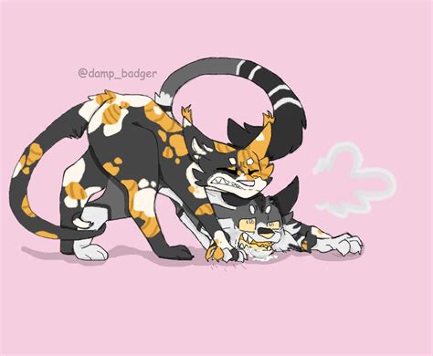 Rule 34 Calico Cat Clenched Teeth Damp Badger Domestic Cat Duo Felid Feline Felis Feral Feral