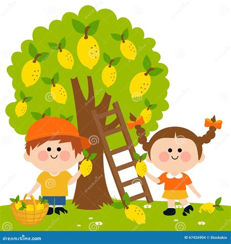 Bambini Che Raccolgono I Limoni Illustrazione Vettoriale ...