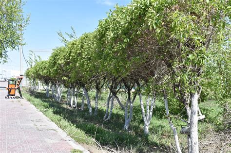 Увсчууд Увсчууд Added A New Photo