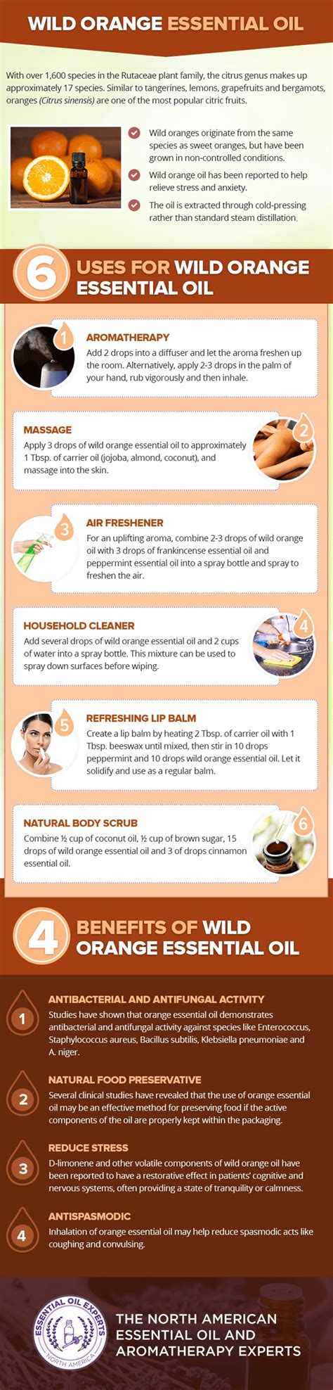 Wild Orange Essential Oil Uses Benefits And Where To Buy