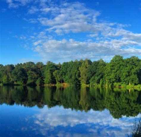 Tilgate Park Lake West Sussex Day Ticket Lakes