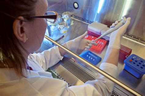 Women Go Into Science Careers More Often In Countries Without Gender Equality Ars Technica