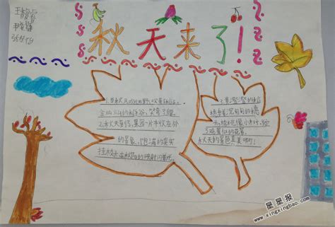 秋天来了手抄报图片 星星报