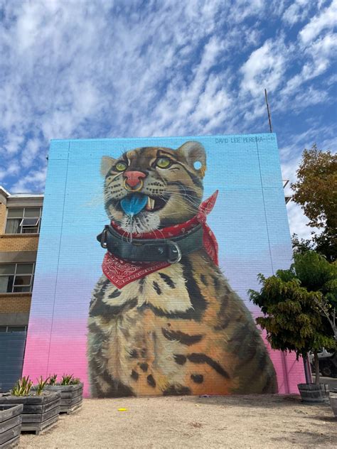 Migration Boomtown Acm Acmconnectnow Sally Roscholler